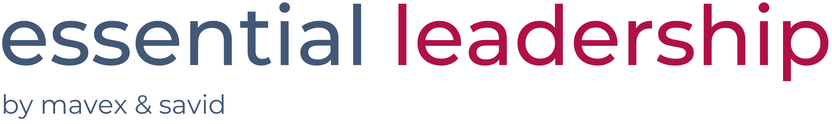 Leadership-Ausbildung für Unternehmer - Essential Leadership